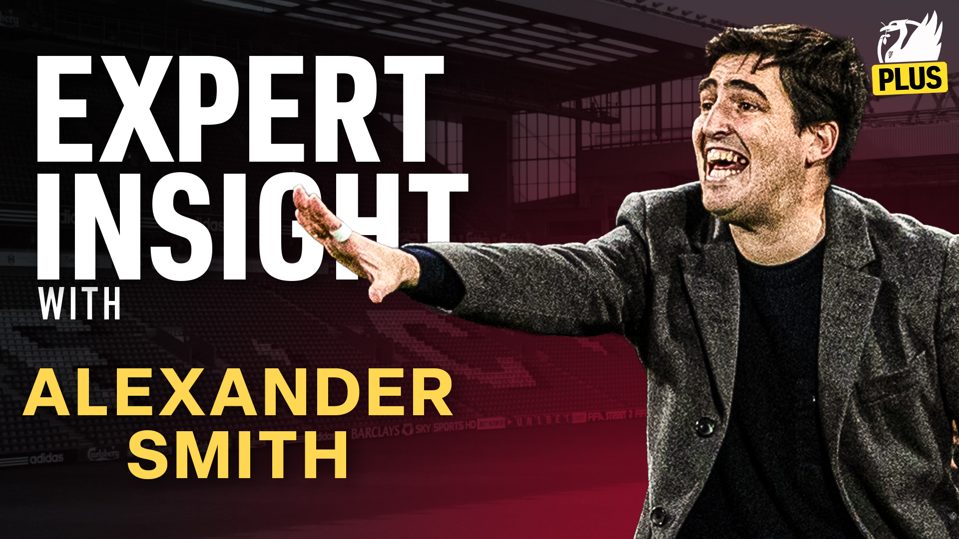Andoni Iraola: AFC Bournemouth Perspective | Expert Insight w ...